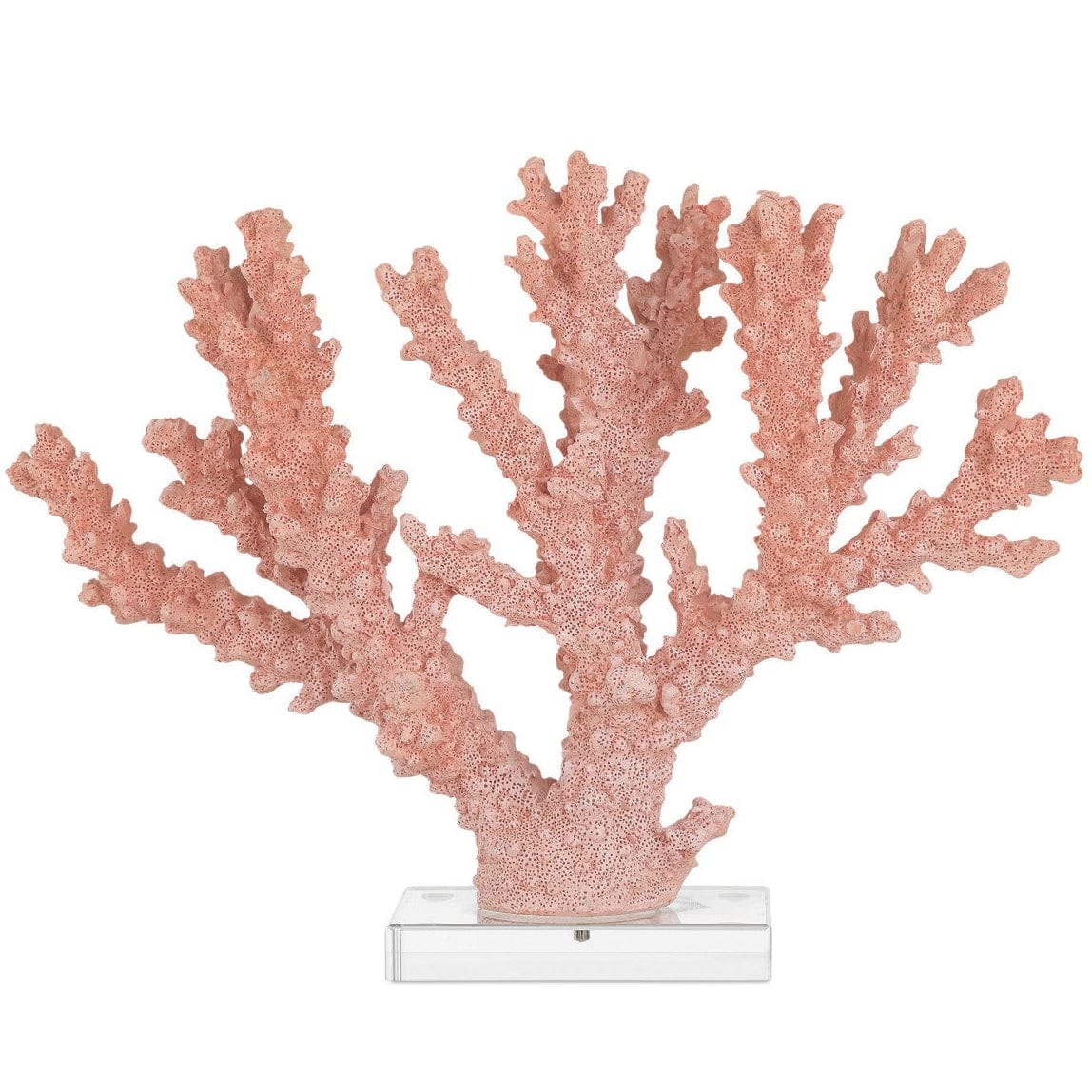 Fire Coral – Meadow Blu