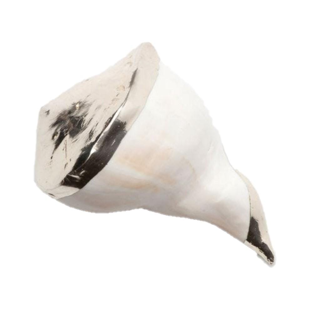 Blue Pheasant Jacob Shell (Set of 2) – Meadow Blu